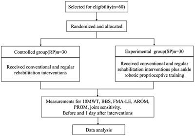 Frontiers | Influence of proprioceptive training based on ankle-foot robot on improving lower ...
